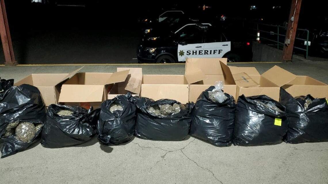 Deputy stops driver on I-5, finds giant bags of marijuana | The Olympian