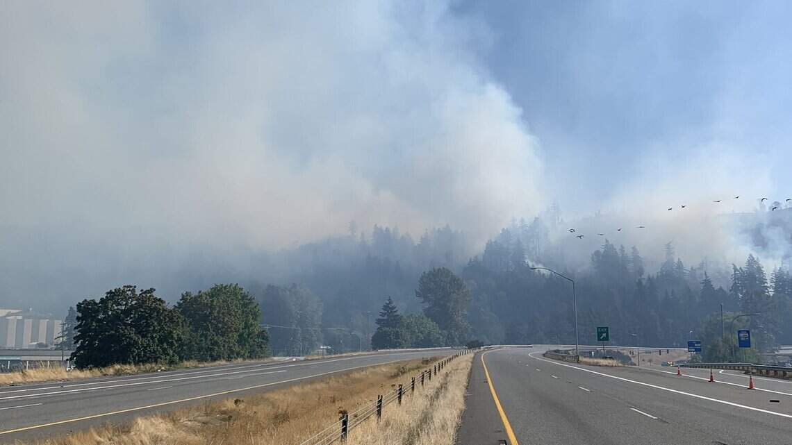 Webinar: How to prepare for wildfire season in Pierce County | Tacoma ...
