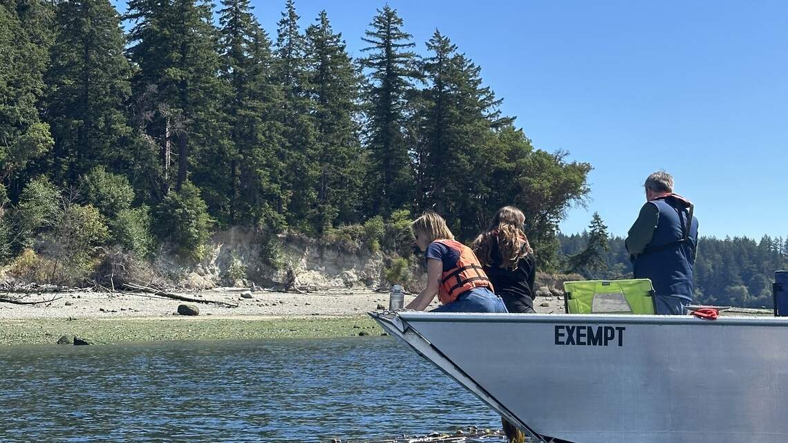 Puget Sound kelp forest gains protection near Squaxin Island | The Olympian