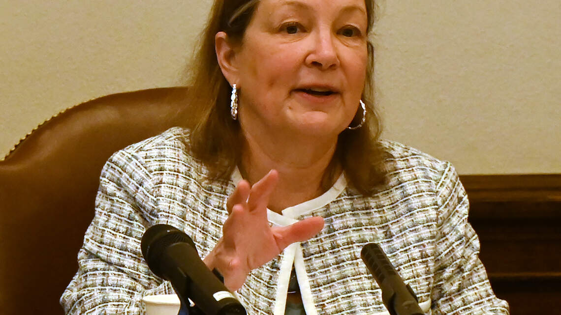 Whatcom County LEAD program funding is in jeopardy | Bellingham Herald