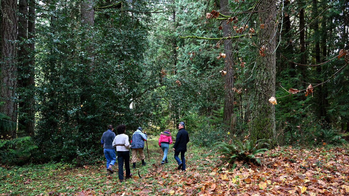 Olympia buys 10 acres on Kaiser Road for planned forest park | The Olympian