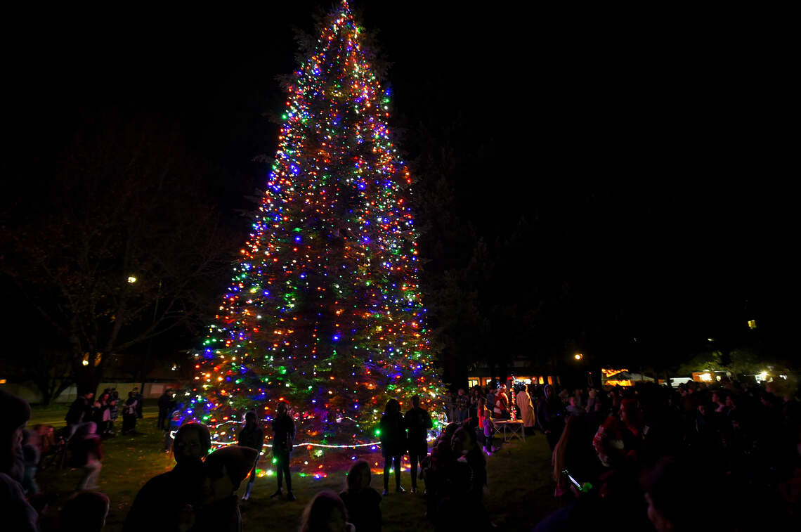 Olympia WA holiday lights: 2025 Thurston County home guide | The Olympian