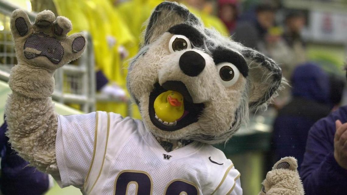 Poll: Which mascots best suit Pasco, WA’s 2 new high schools | Tri-City ...